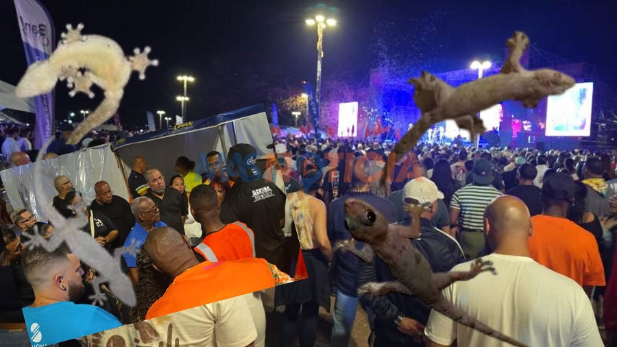 E pega pega a pone algun musico sapatia tranca Festival: Pueblo a warda ...